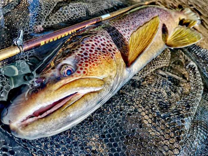 Smith Fishing – Water and Mountain
